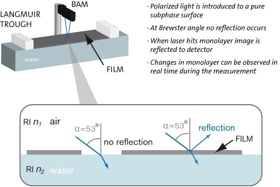 Brewster Angle Microscopy | Measurements